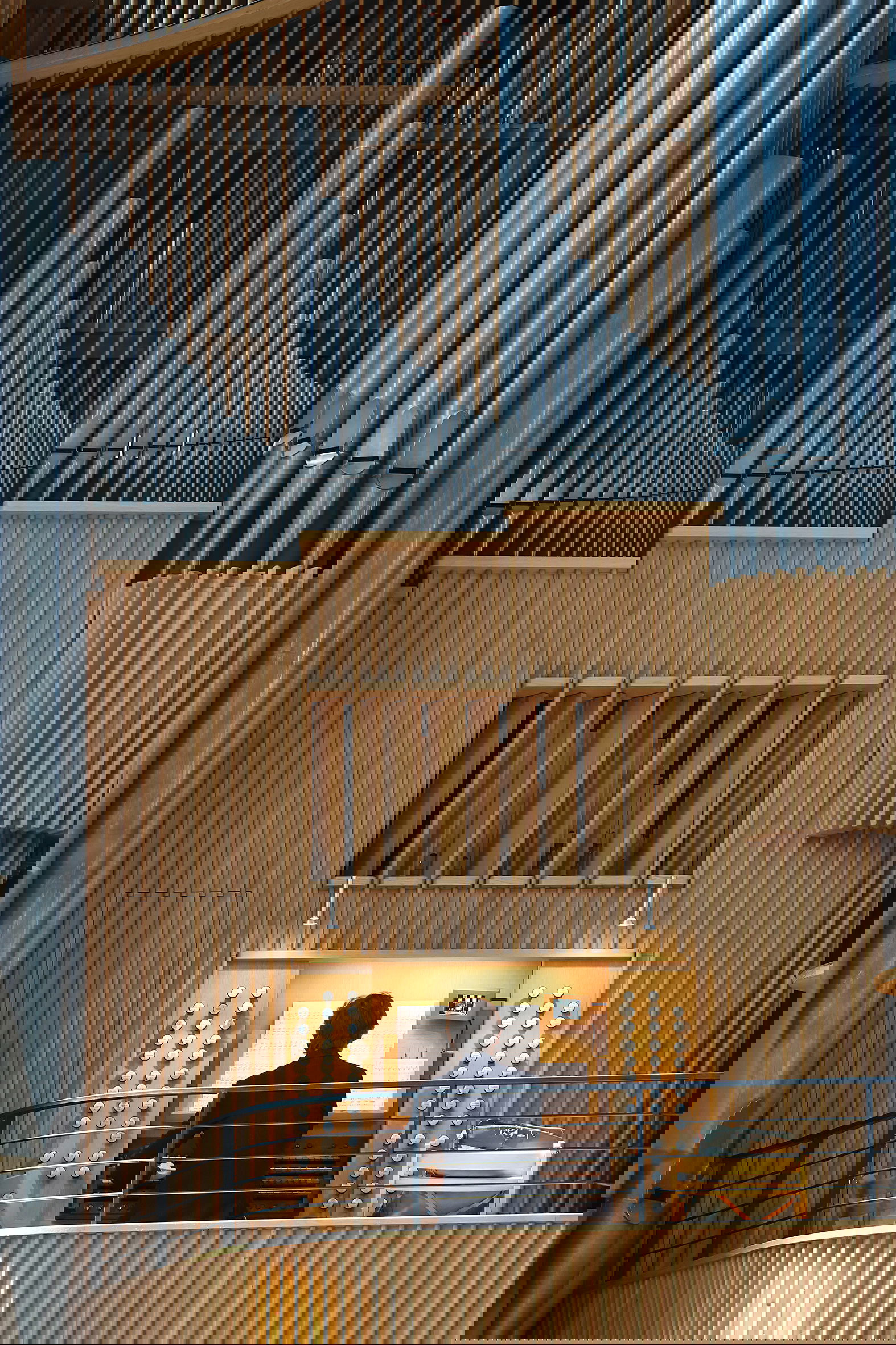 Juristischer Vizepräsident Goos eingeführt